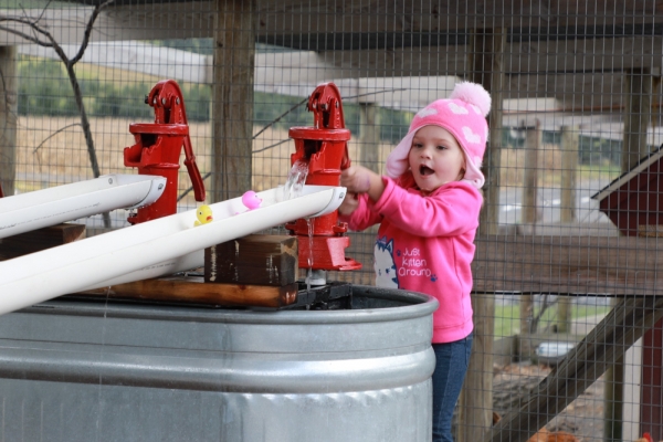 Douglas’ Duck Race - Pioneer Evergreen Farms
