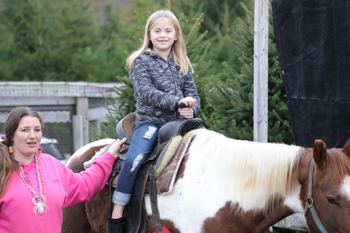 Horse & Pony Rides - Pioneer Evergreen Farms