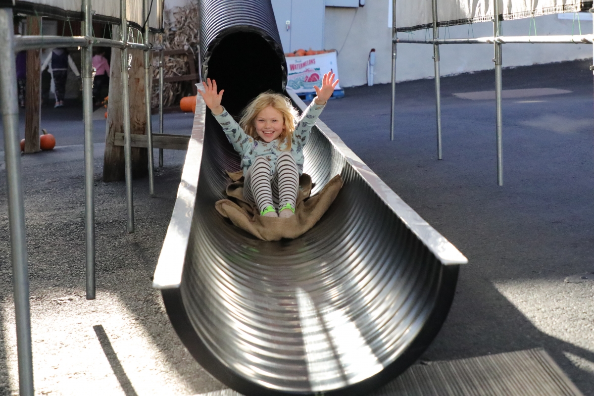 60’ Tube Slide - Pioneer Evergreen Farms